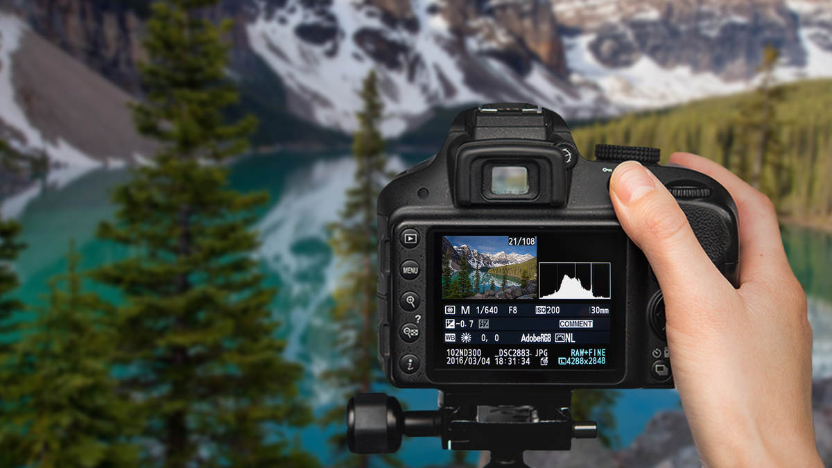 Best Cameras for Amateur Photographers