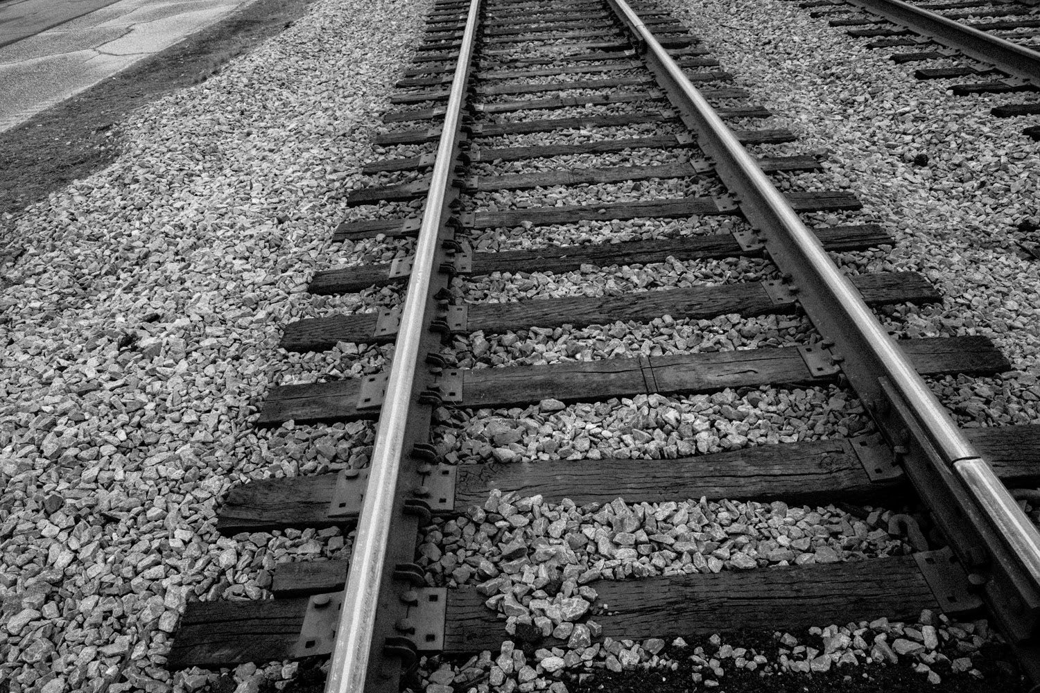 Natures Views Photography: Dunn Nc on a Deary Day