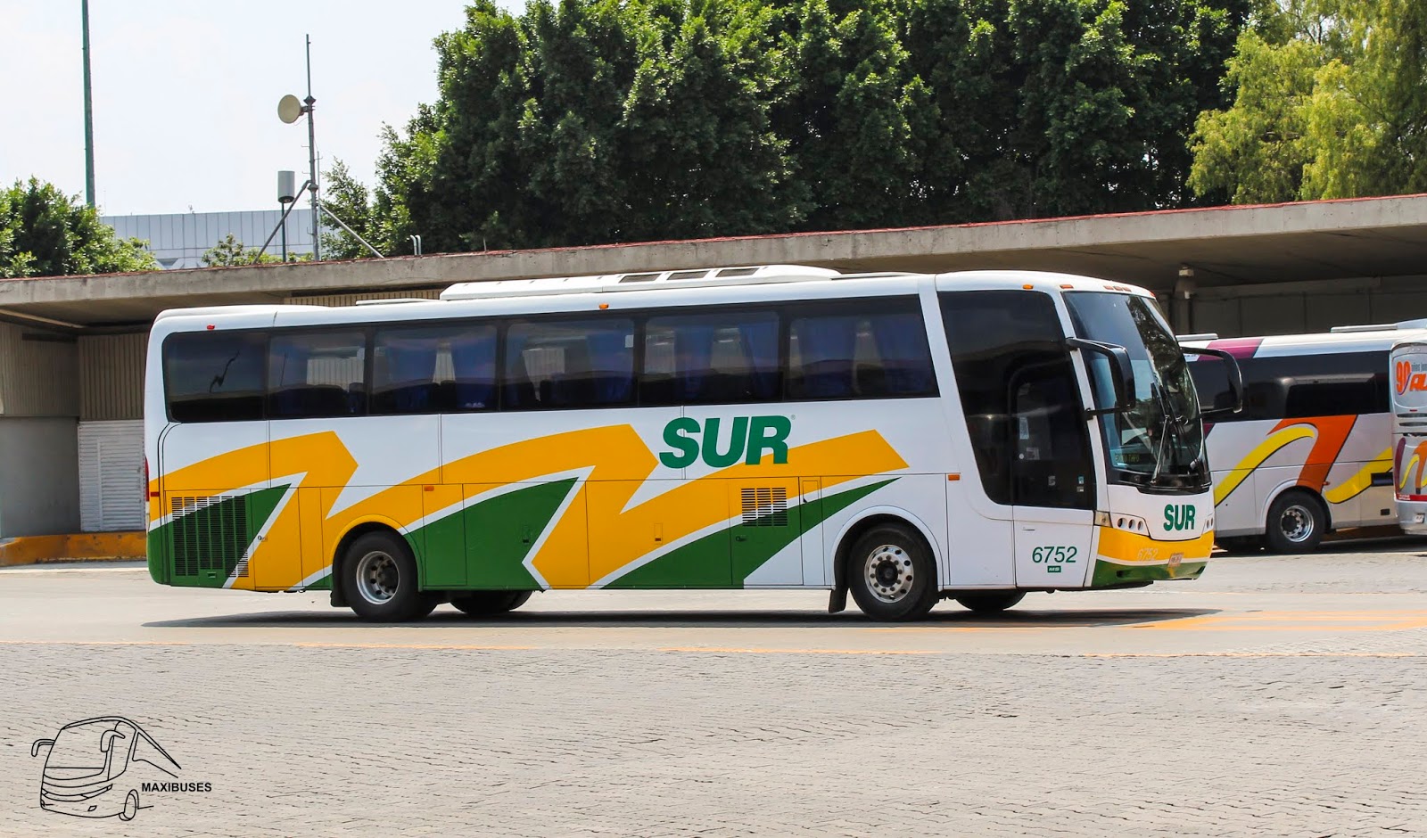 MAXIBUSES: AUTOBUSES DEL SUR