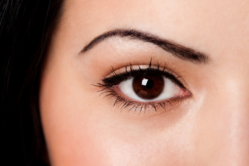 Torricelumn Girl: Beautifying Your Brows: