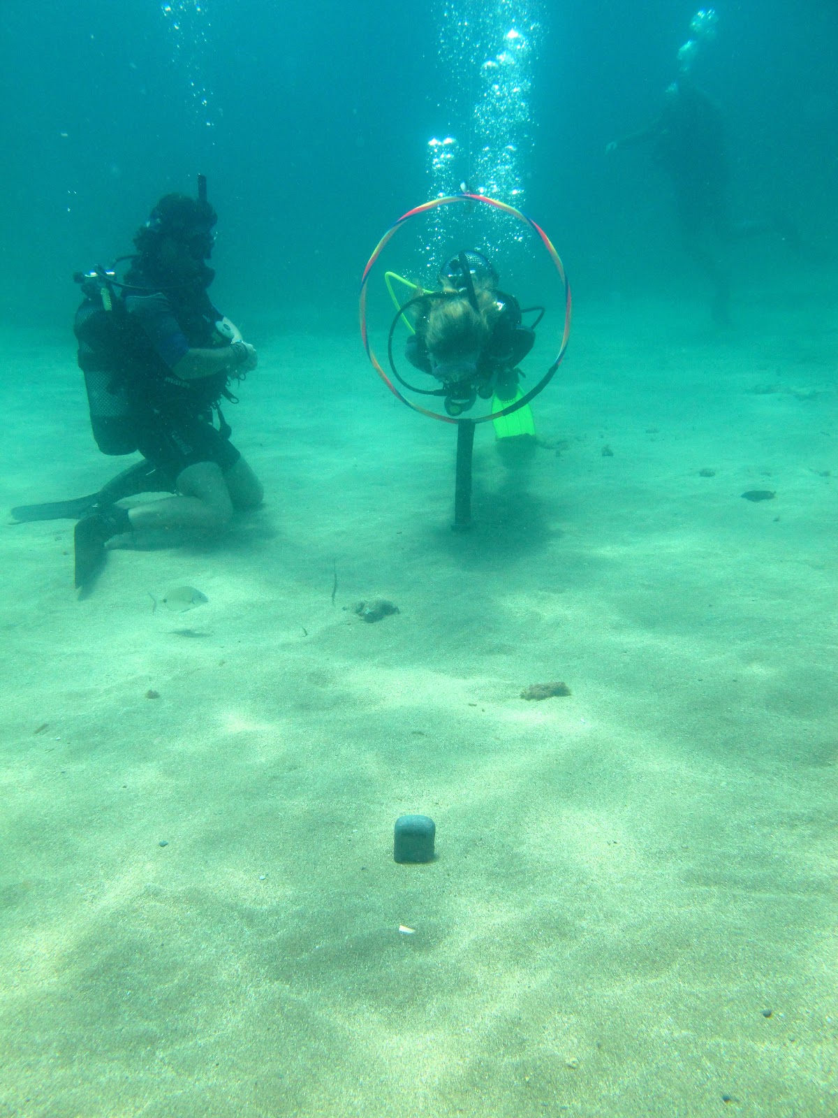 Sea Slug and the Turtle: Advanced Diver Training - Peak Performance ...