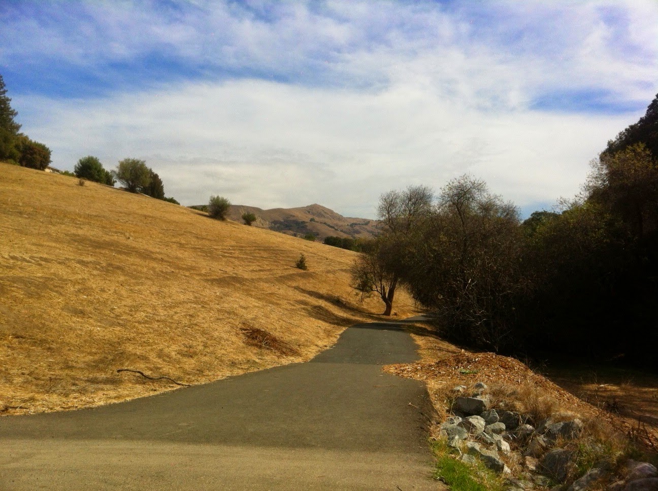 J and A's Excellent Adventure: Excellent walk in the Bay Area: Sabercat ...