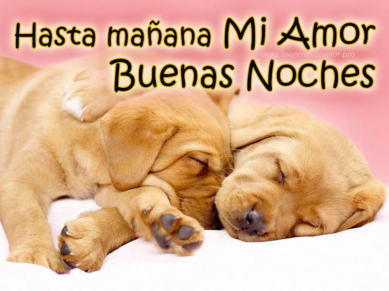 “Descansa ya, mi amor. Mañana será un nuevo día en el cual saldrás a ...