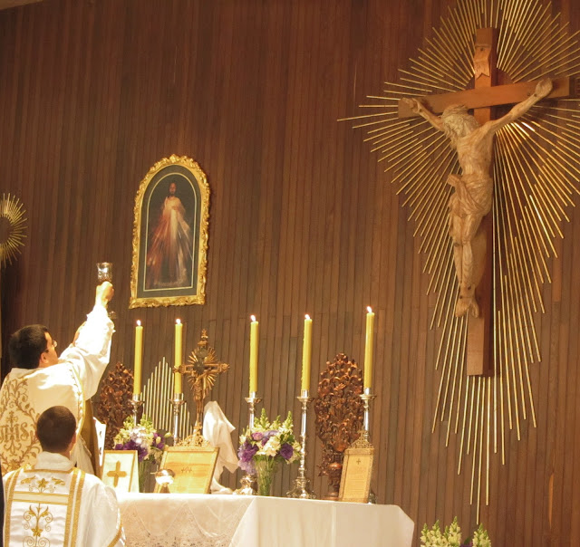 CATHOLICVS: Primera Misa tradicional solemne en Brasil de un nuevo ...