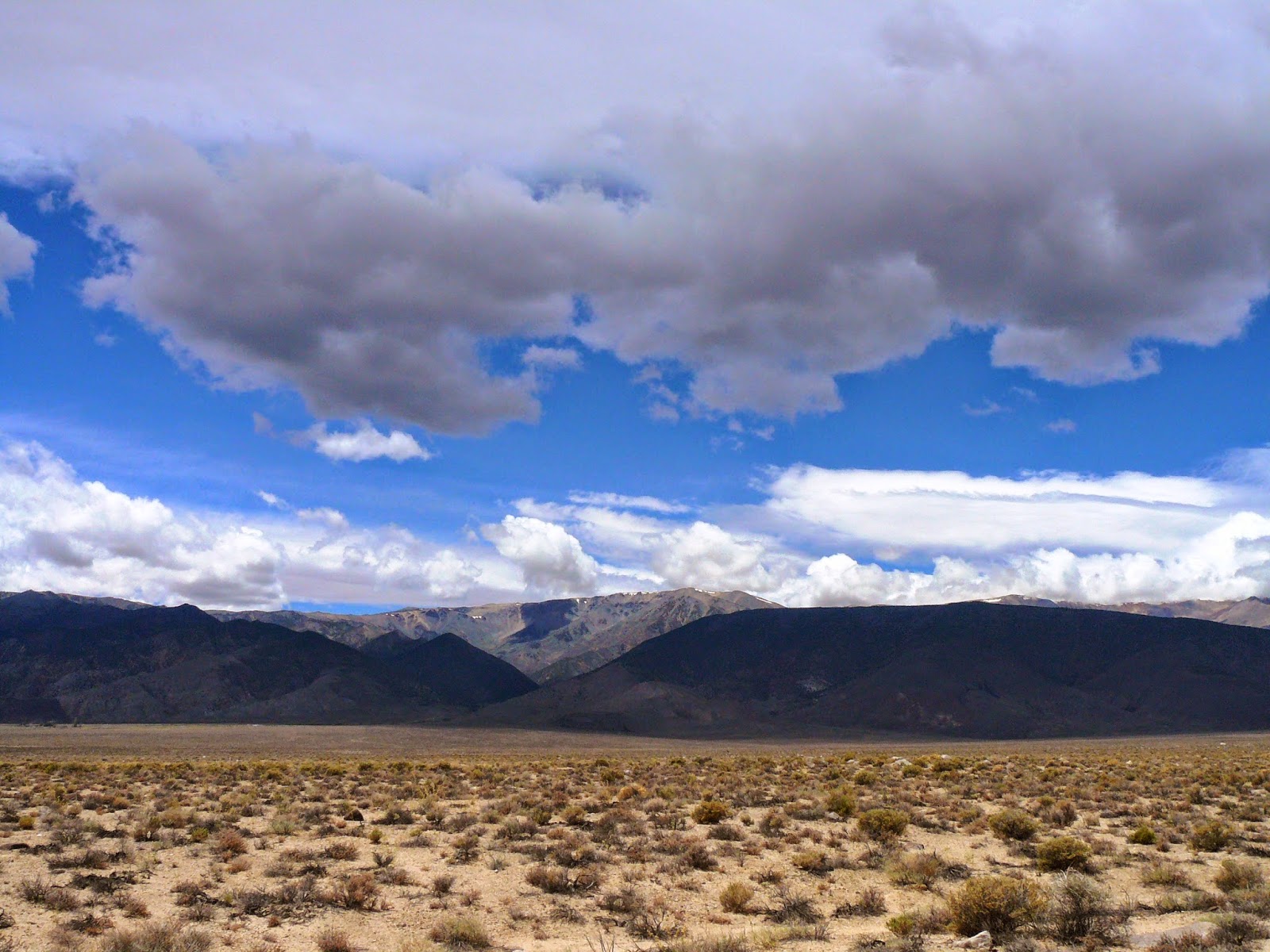 Countryman: Foraging California's Wild Side: High Desert Trails