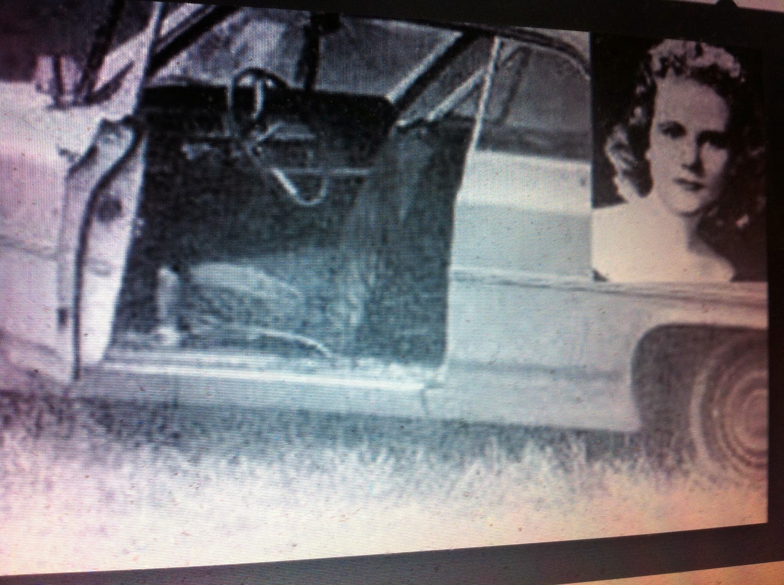 THE BLACK SOCIAL HISTORY:: BLACK SOCIAL HISTORY : AMERICAN " VIOLA ...