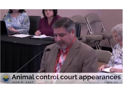 State of the Division: Animal Services Seeks Citation Clarity from ...