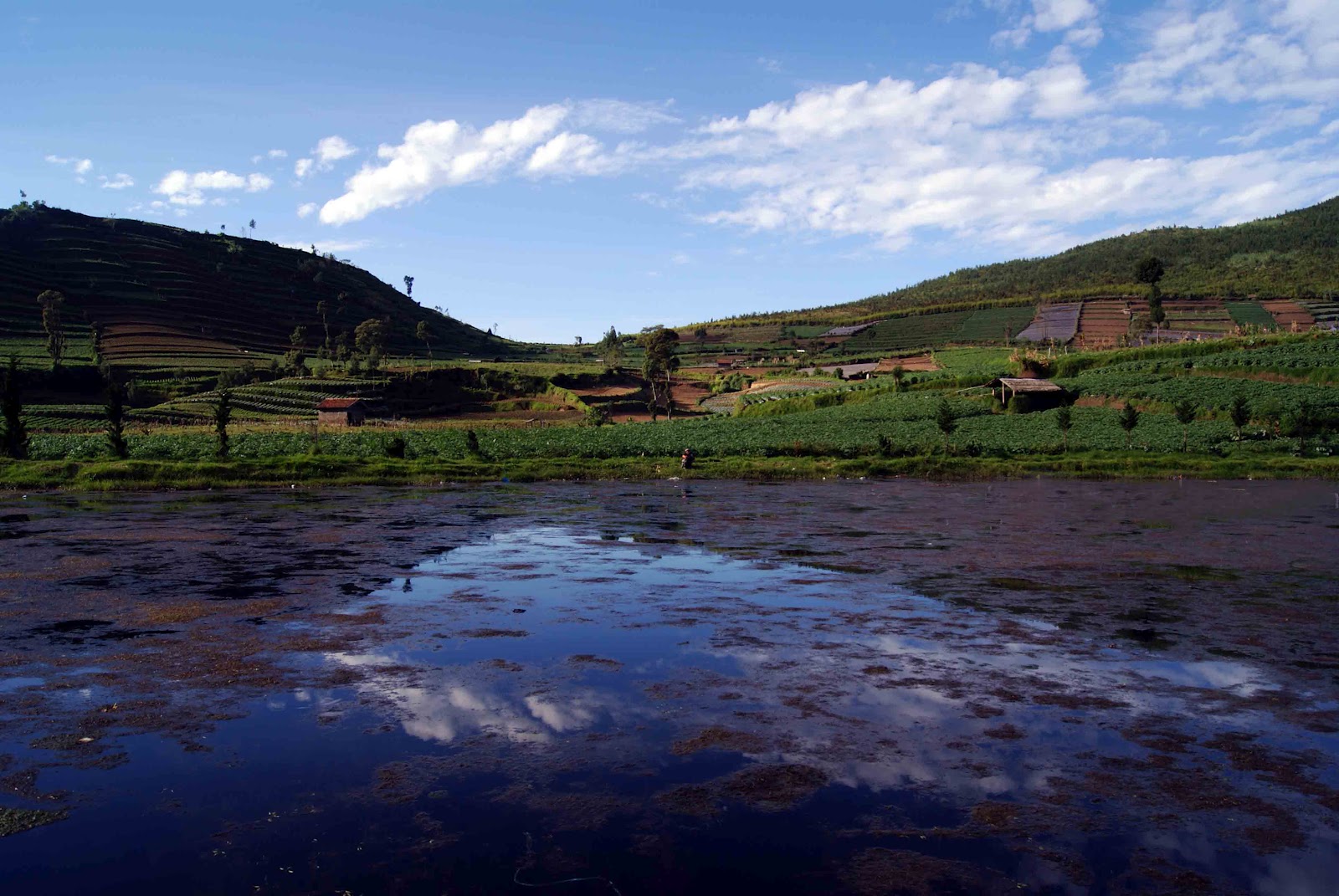 Dieng Plateau | Unique Wallpaper