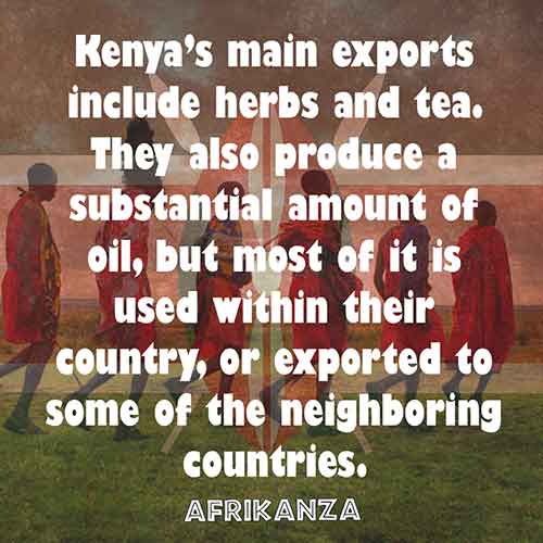 12 Interesting Facts About Kenya - tangerine