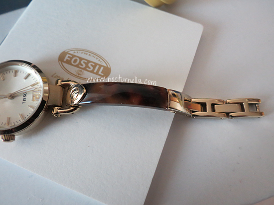 Fossil & Shade Station - NOCTURNELLA