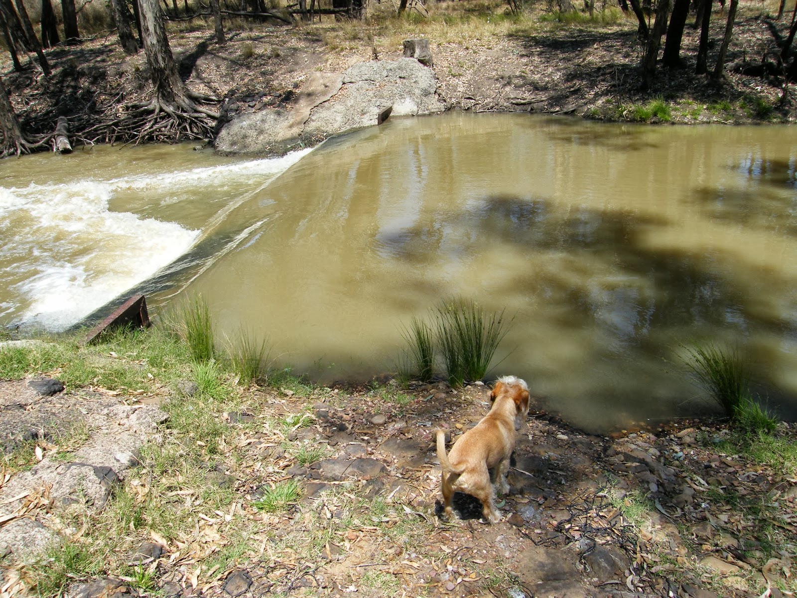 BJ and Noelle Travel Oz : Yeppoon - Glebe Weir (Taroom), QUEENSLAND