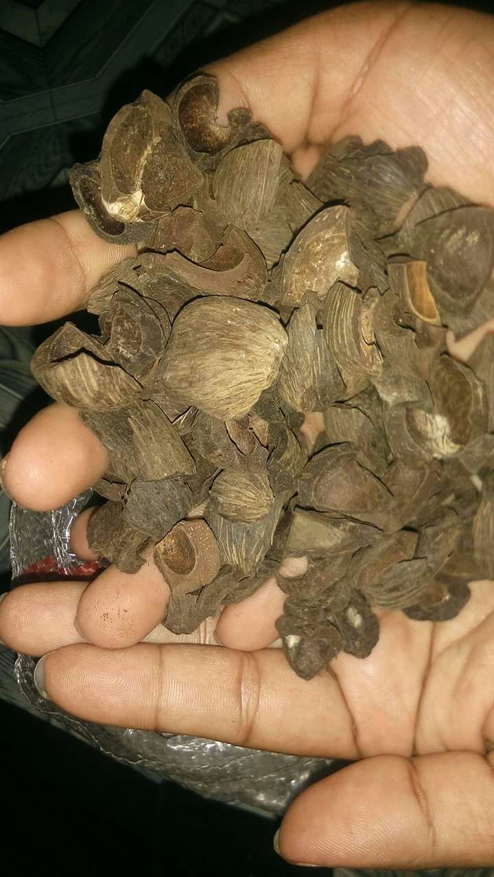 Product - Palm Kernel Shell (PKS) - dCharcoal