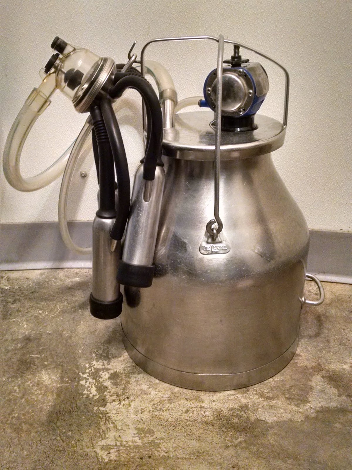 The Poor Farm: The Outrageously High Cost of Cheap Milk