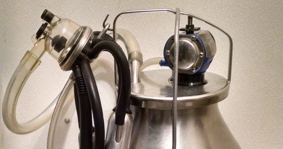 The Poor Farm: The Outrageously High Cost of Cheap Milk