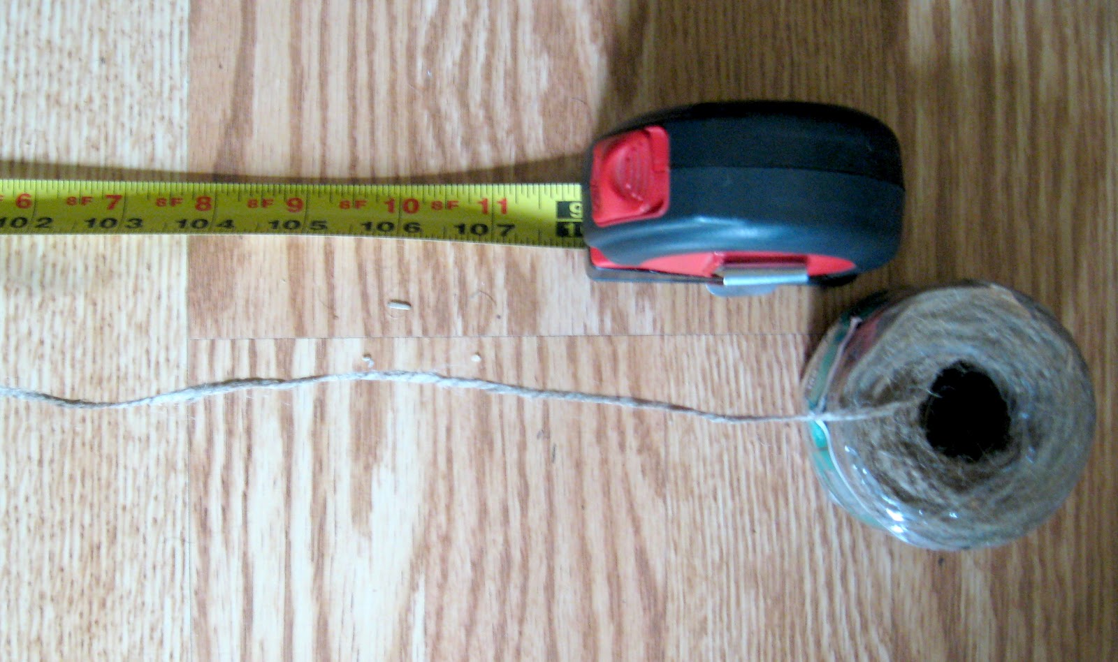 A Fish Who Likes Flowers: Much Cuter In Person... I Swear!