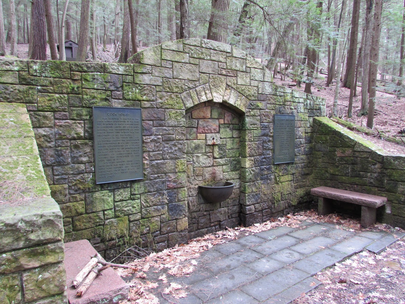 Cook Forest State Park: Tranquil Old Growth Forest, the Clarion River ...