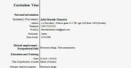 curriculum vitae pdf samples