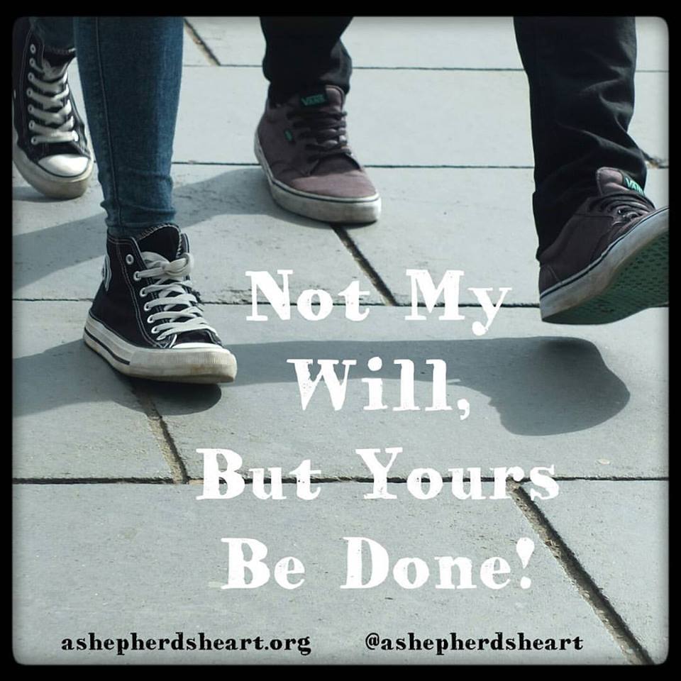 A Shepherd's Heart: Not My Will, But Yours Be Done!