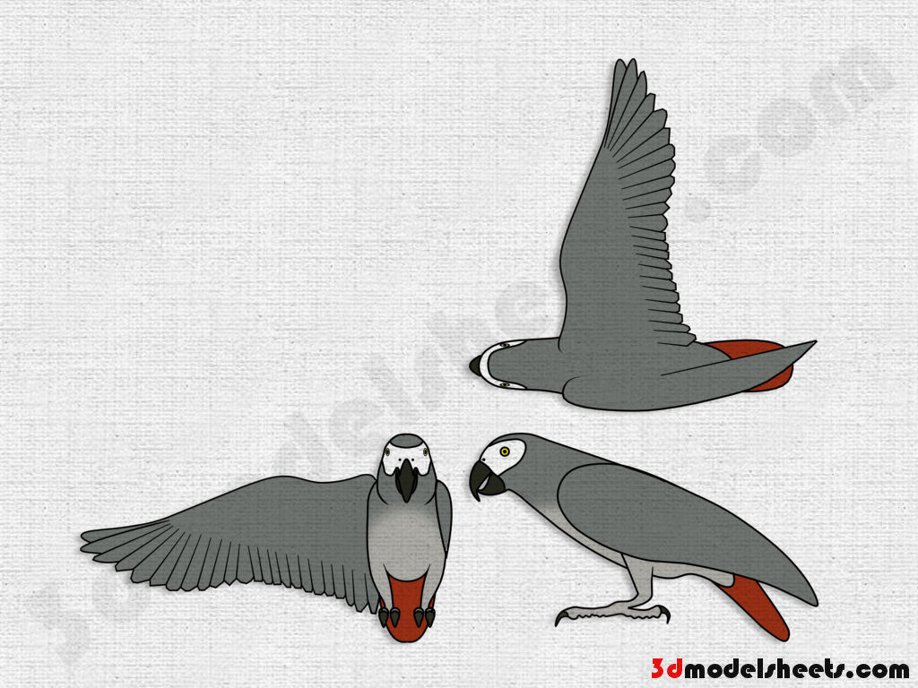 HIGH RESOLUTION TEXTURES: Free Animal Blueprints &Model Sheets