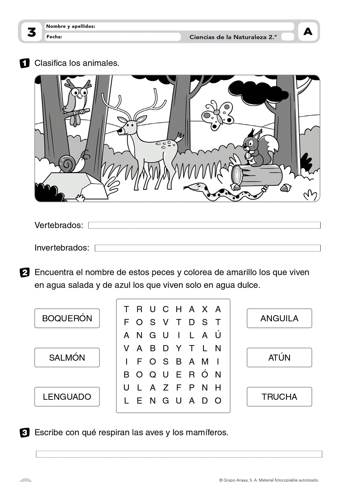 *Mi maestra Rocío*: Fichas de repaso de sociales y naturales