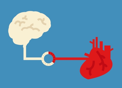 Sí, el corazón interviene en las decisiones del cerebro | Glosario Digital