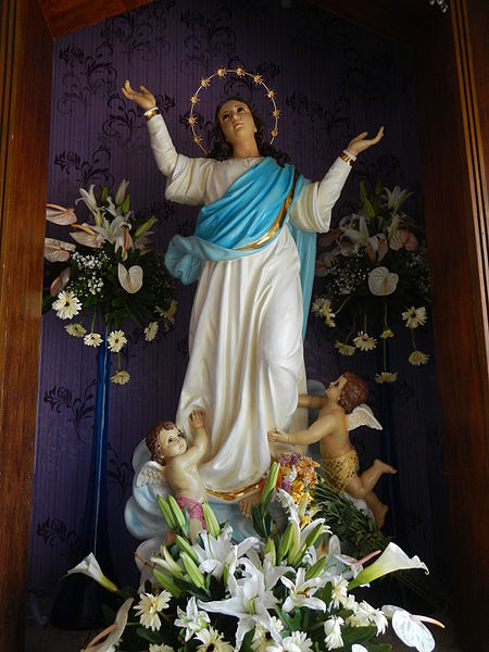 Young catholic adults Latest News: The Feast of the Assumption (15th ...