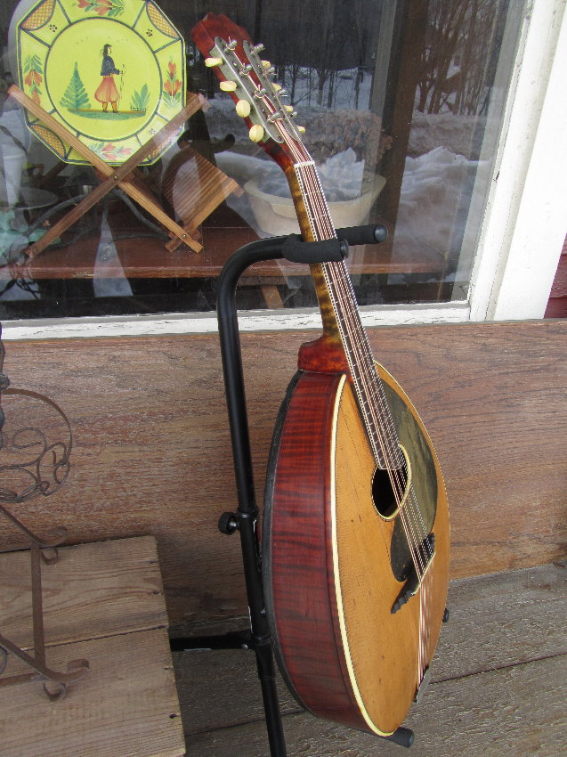 1914 Weymann Style 40 "Mandolute" Mandola
