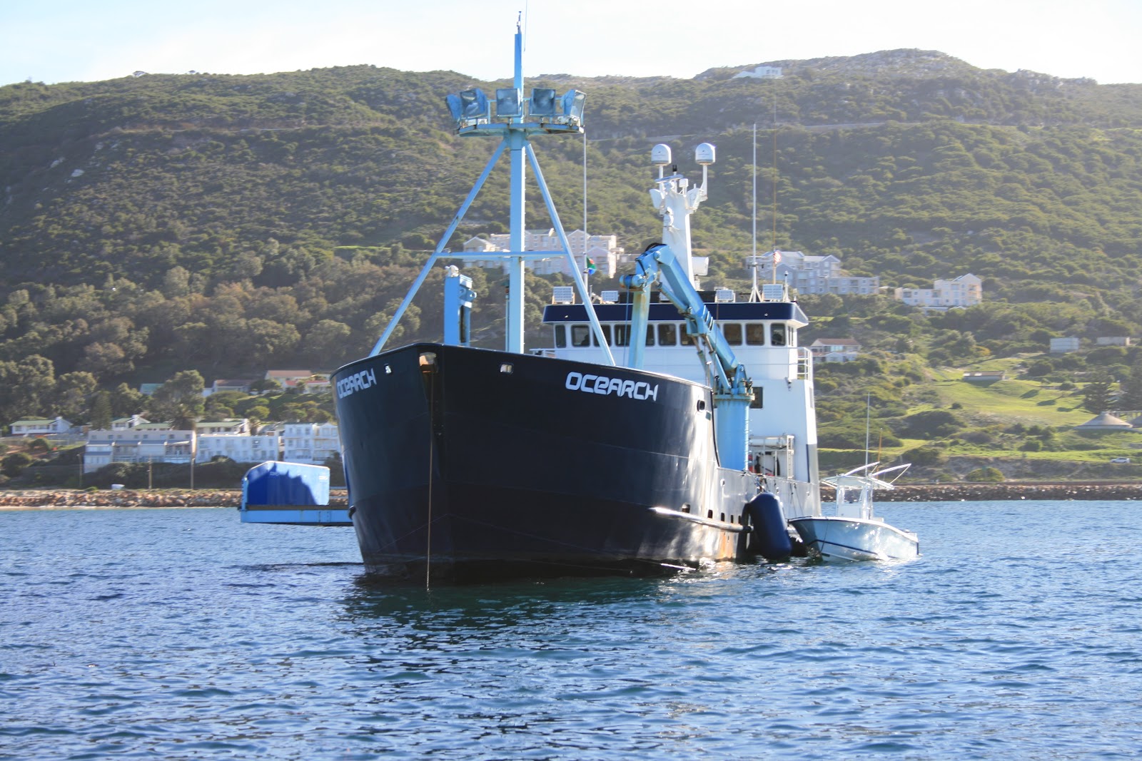 Time between waves: Interview with Chris Fischer of Ocearch