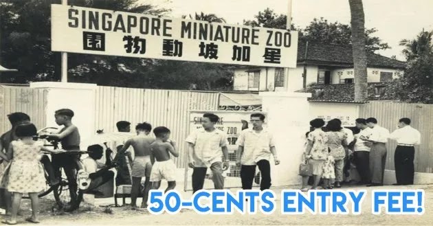 Under The Angsana Tree: 10 Facts About 1950s Singapore