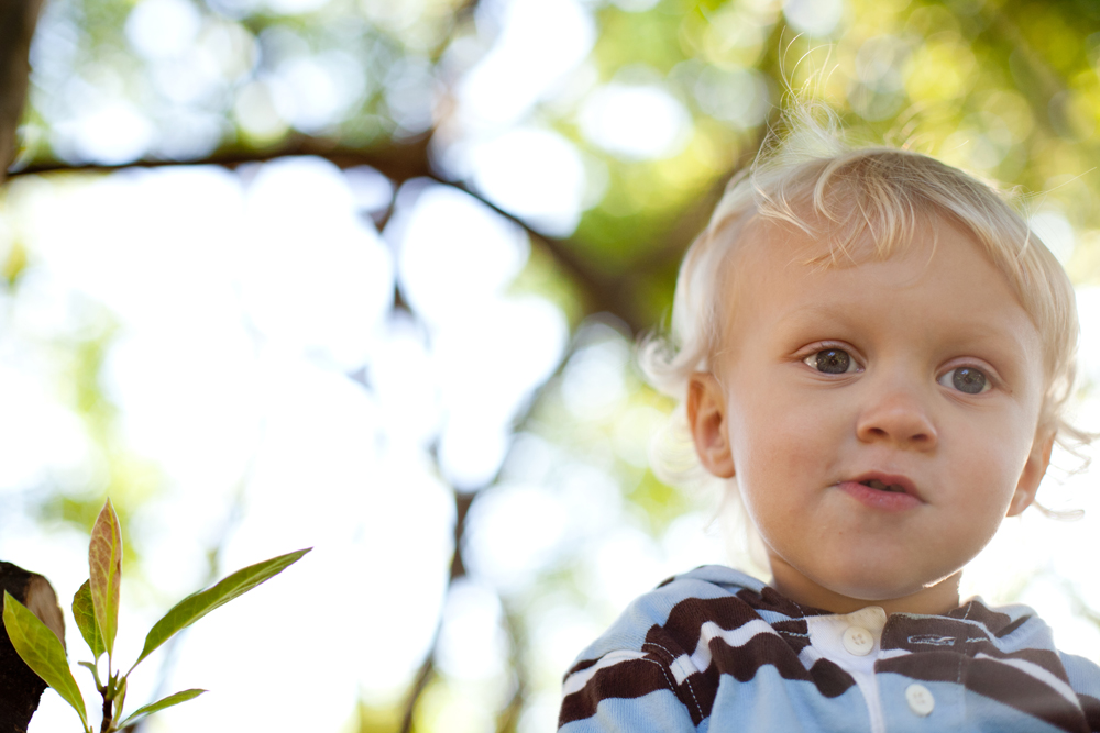 Tierney Cyanne Photography: The Papson Family