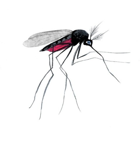 Through The Illustrated Looking Glass: Chapter 3 ~ Looking-Glass Insects