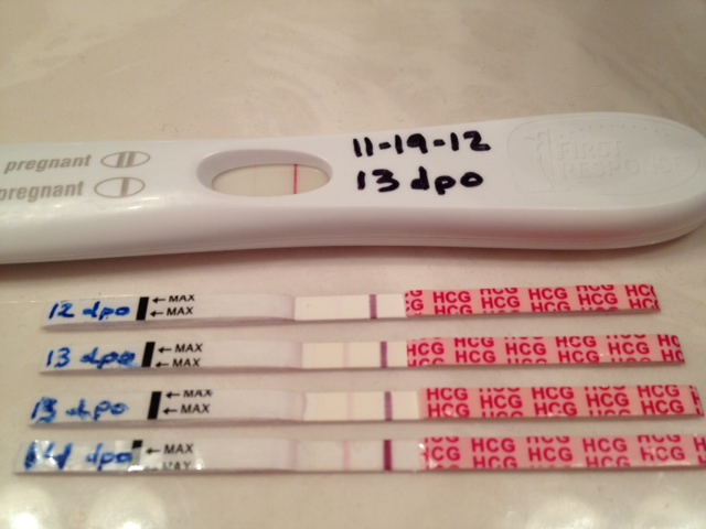 12 Days Past Ovulation And Negative Pregnancy Test