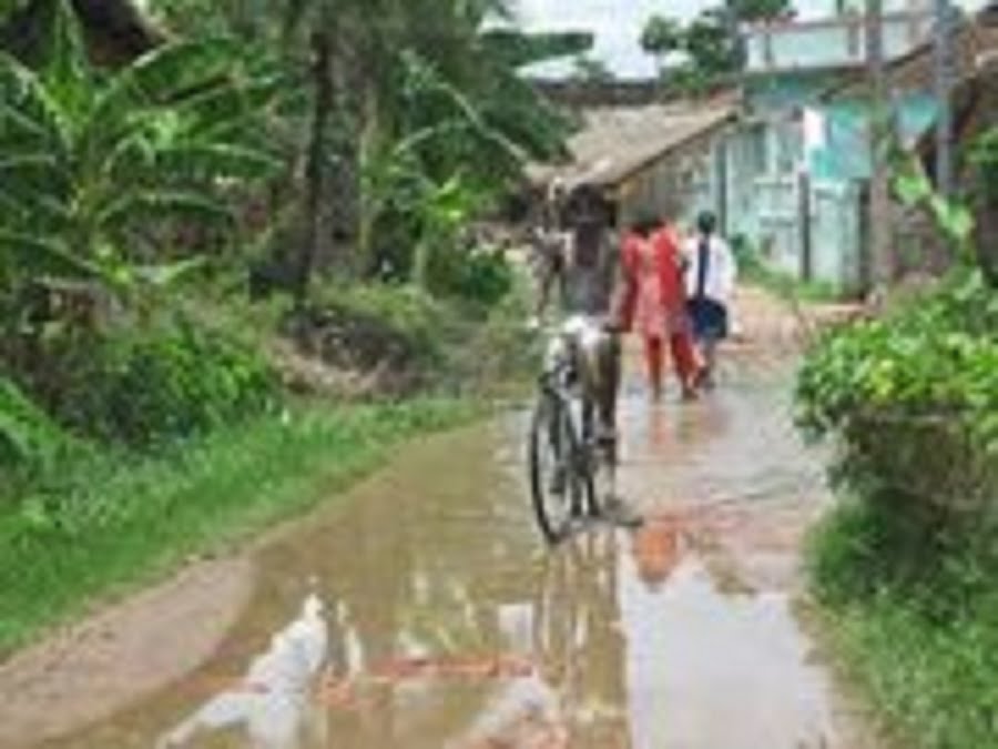 SHOLA ADEBOWALE.com: Environmental degradation in Ogoniland:TESTIMONY ...