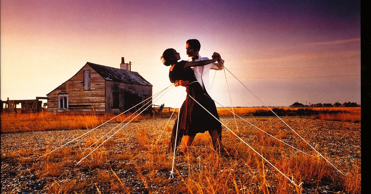 1981 A Collection Of Great Dance Songs - Pink Floyd - Rockronología