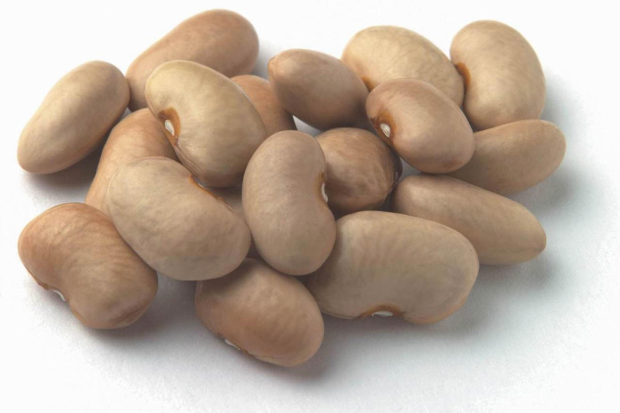 Alimentos en el antiguo Perú: EL FREJOL, FRIJOL O NUÑA