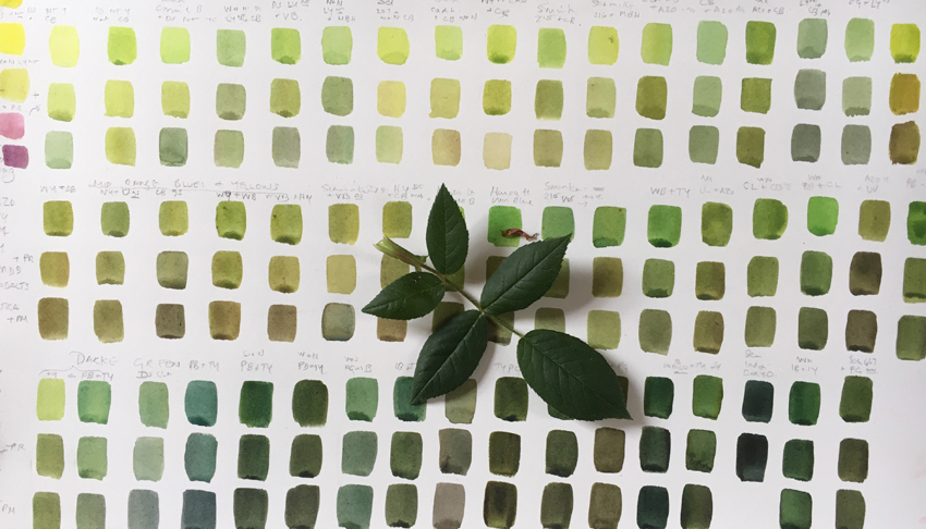 Dianne Sutherland: Painting Roses and Colour Mixing: Sheffield ...