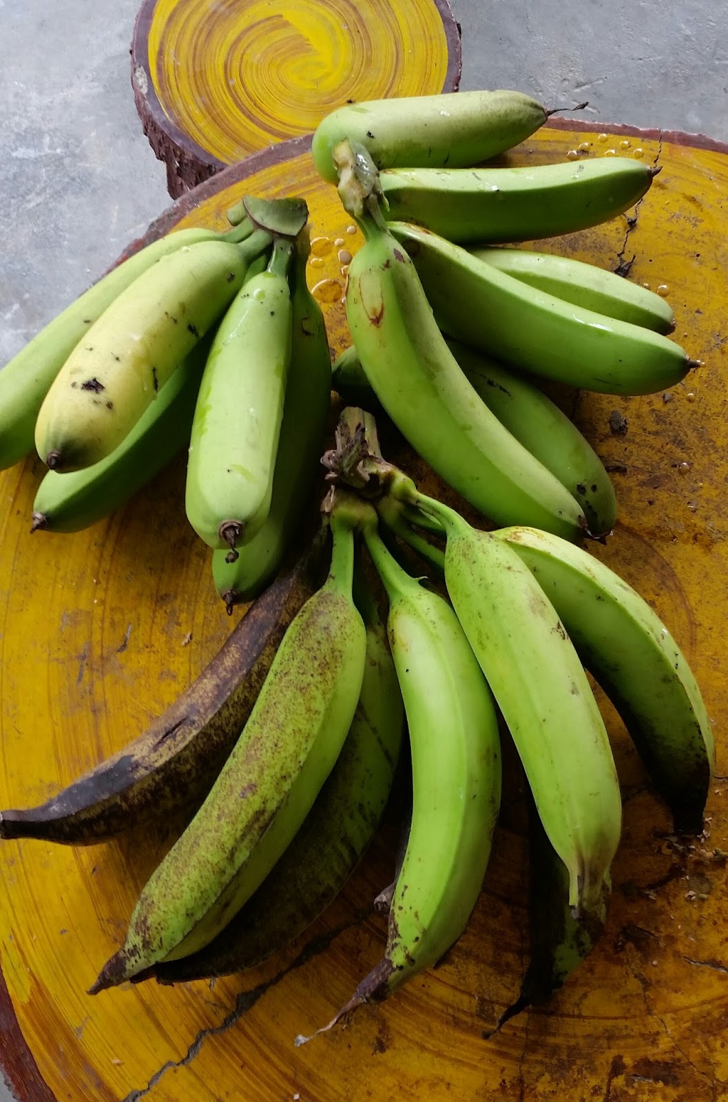 Warisan Petani: Riwayat Hidup Pisang Raja Talon