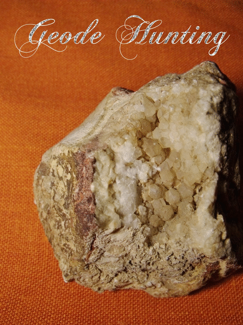 Wild Treasures: Geode Hunting