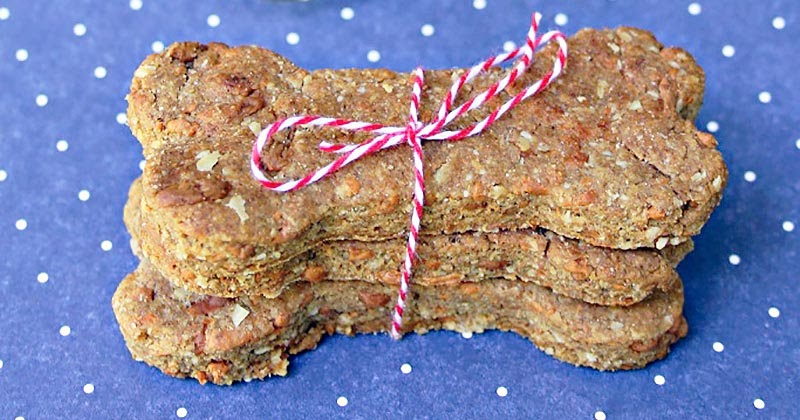 Easy Homemade Peanut Butter Oatmeal Dog Cookies | Sunny Day Family