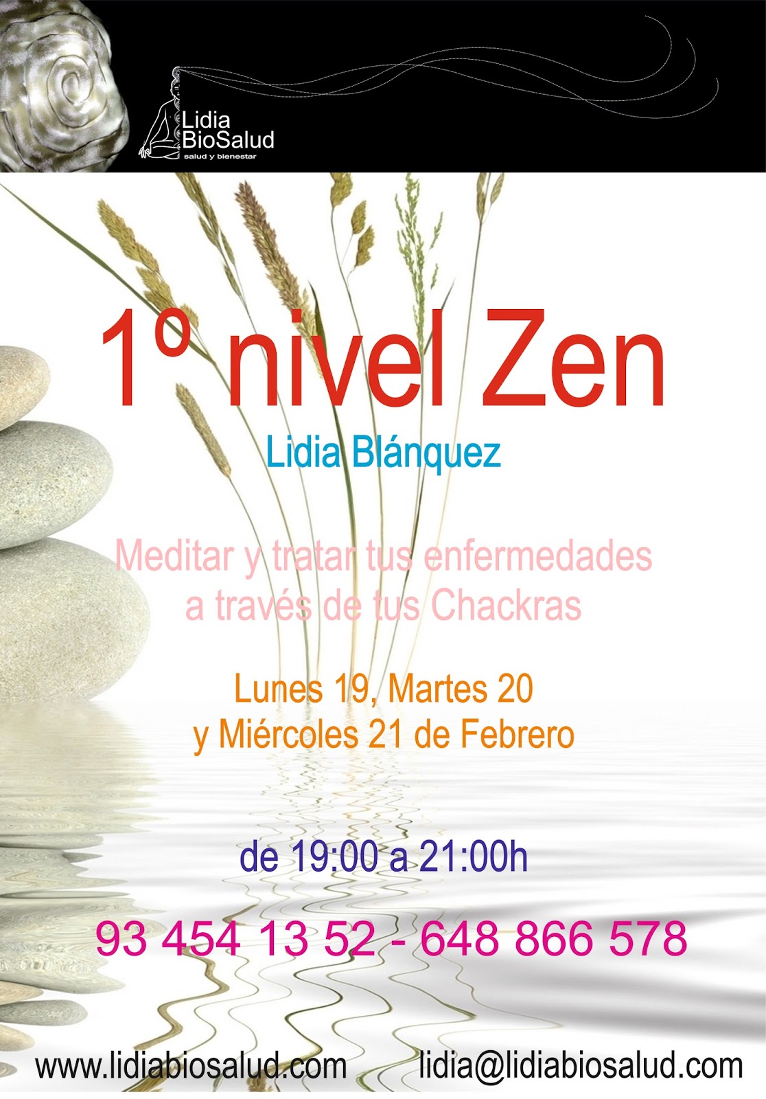 Blog de Lidia: PROXIMO PRIMER NIVEL DE ZEN