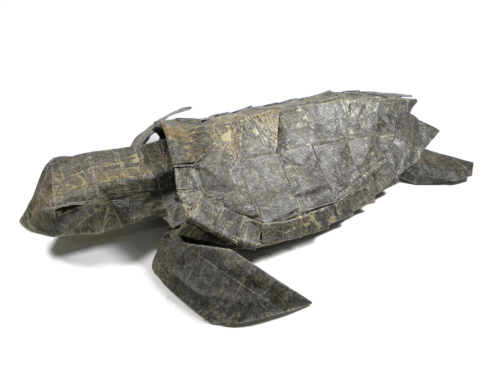 Mariano-Mi mundo el Origami: Loggerhead sea turtle