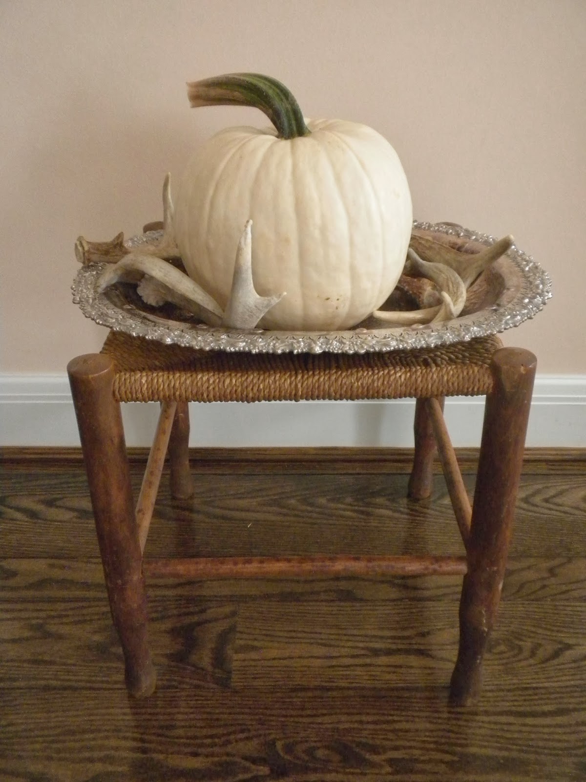 Panoply: My Panoply of a Pumpkin Patch