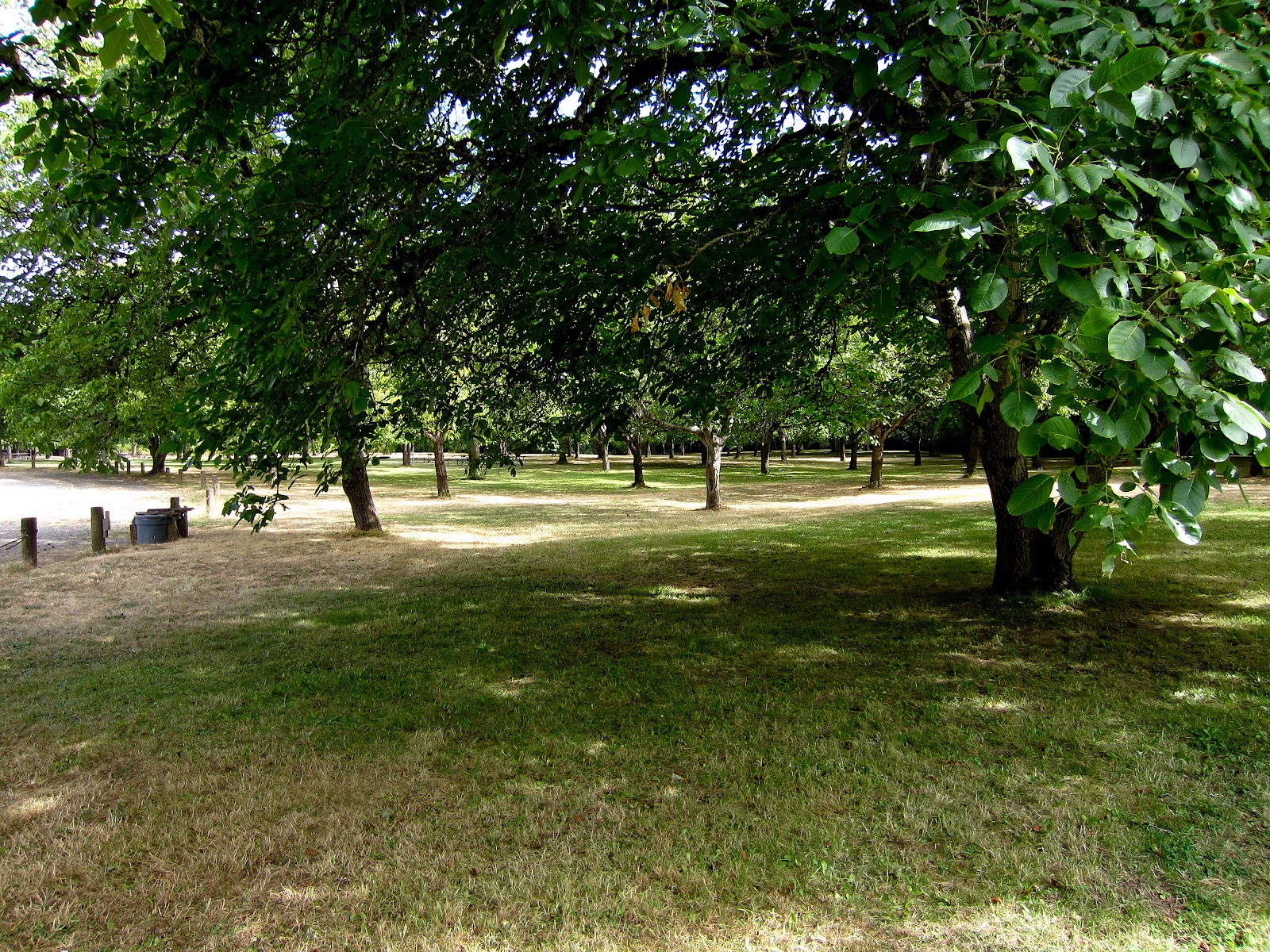 Thom Zehrfeld Photography : Willamette Mission State Park