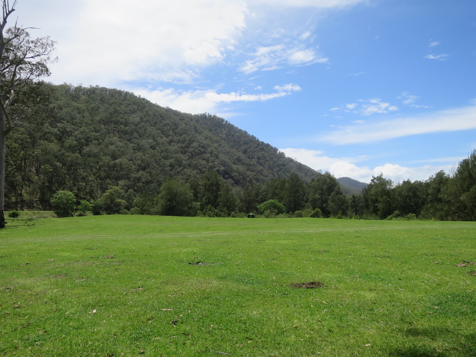 Adventures with G & T: On the road to Armidale