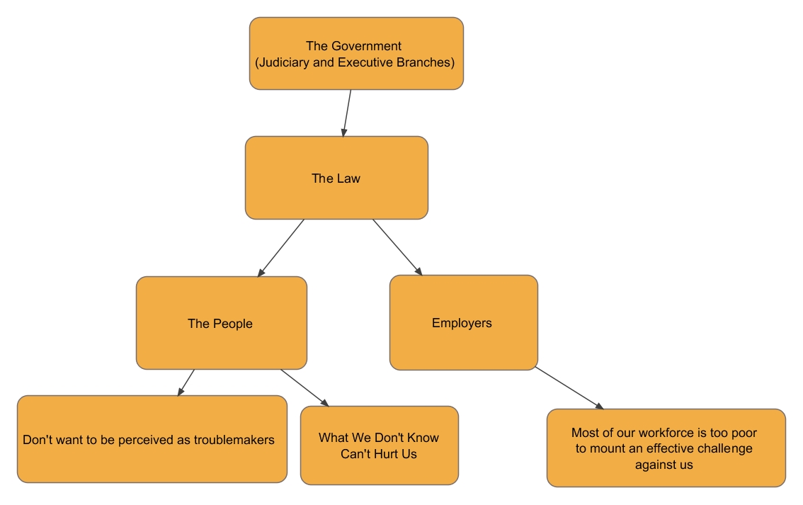 The Invisible Truth: A Marxist Infographic on Law