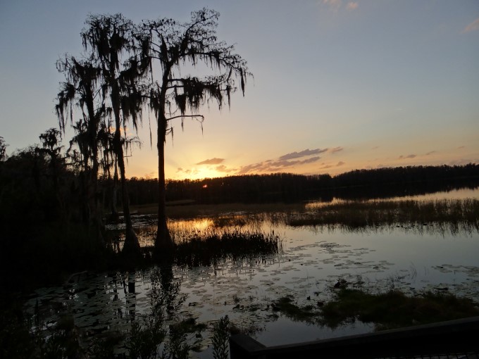 Walkabout With Wheels Blog: Sunset on Dixie Lake at Lake Louisa State ...