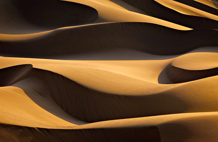 35 Breathtaking Examples of Patterns in Nature