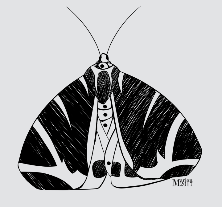 Moth Ink!