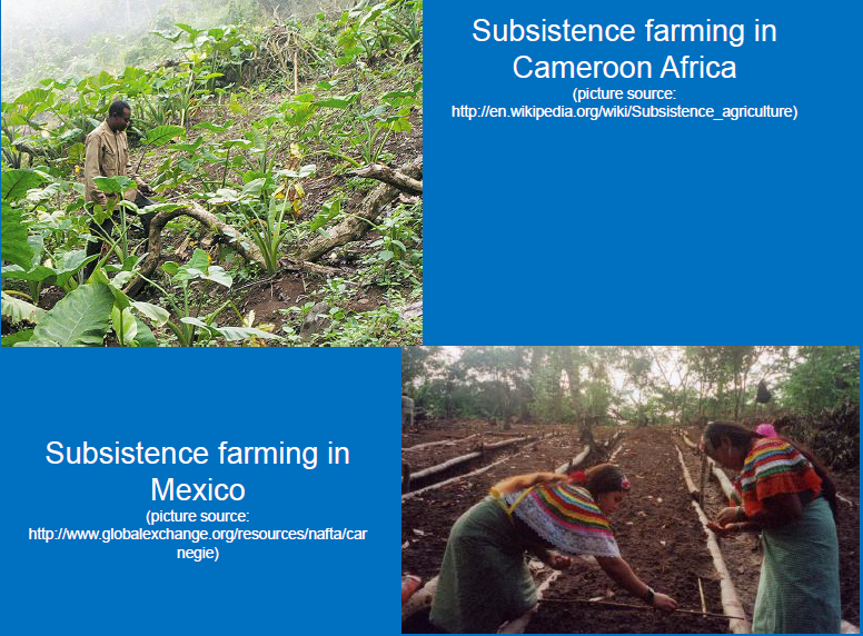 PRT2008 GROUP7: BAB 1 : APA ITU PERTANIAN MODEN