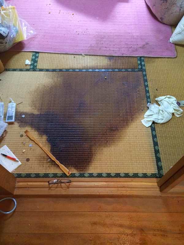 Deformutilation: Postmortem Decomposition Stains